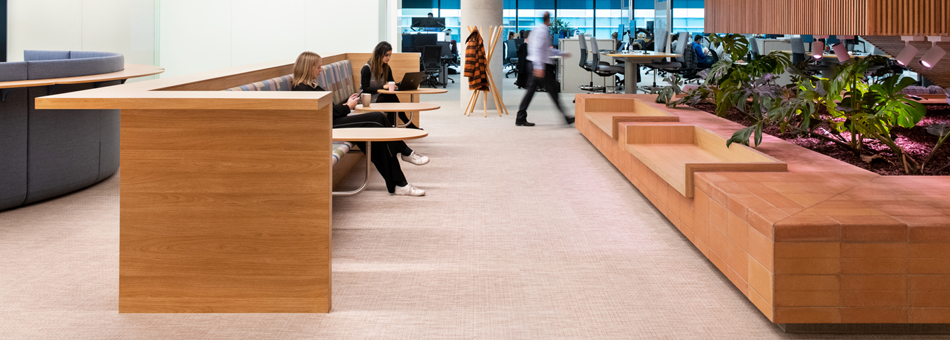 AMP, Australia - Header - Bolon